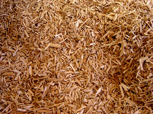 Le chanvre, un matériau de construction écologique en plein ...